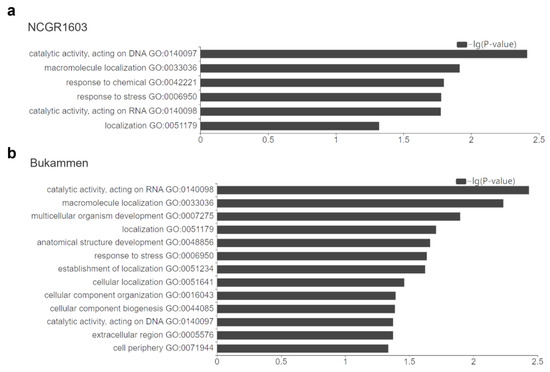 Comparative Transcriptome Analysis Reveals Novel Candidate Resistance ...