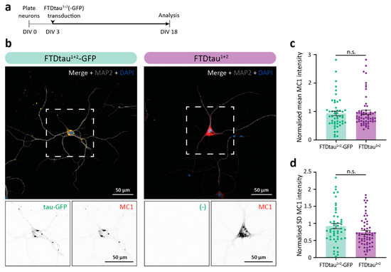Structurally and Morphologically Distinct Pathological Tau Assemblies ...