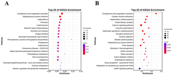 Transcriptome Analysis of the Developmental Effects of Bisphenol F ...