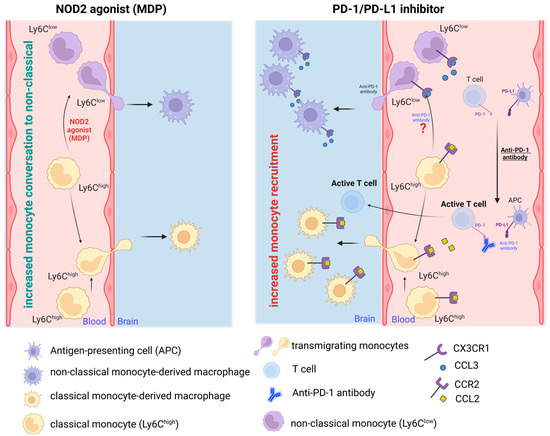 The Synergistic Potential of Combining PD-1/PD-L1 Immune Checkpoint ...