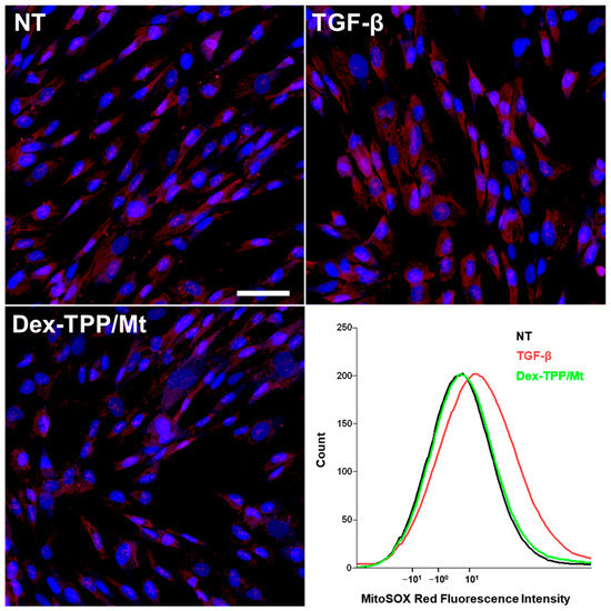 Polymer-Functionalized Mitochondrial Transplantation to Fibroblasts ...