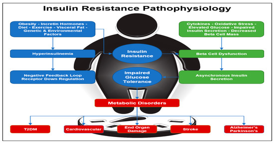 A Receptor Story: Insulin Resistance Pathophysiology and Physiologic ...
