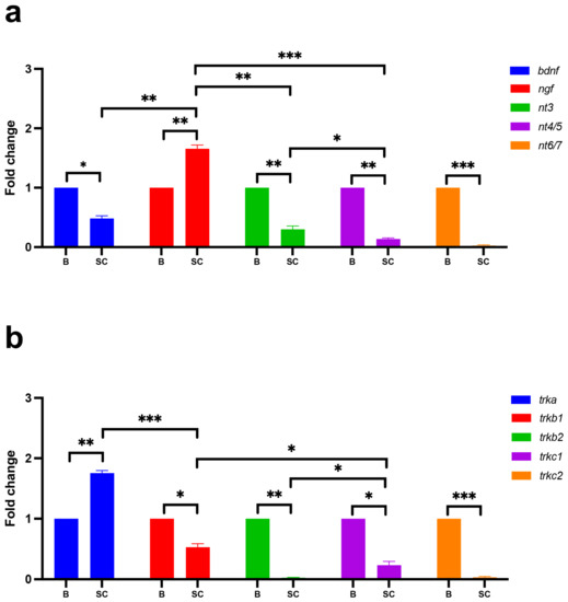 Transcription Pattern of Neurotrophic Factors and Their Receptors in ...