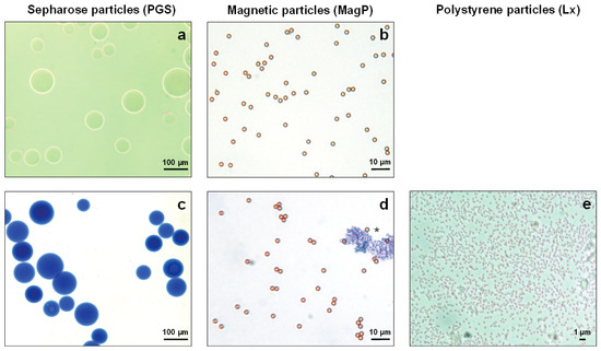 Comprehensive Comparison of the Capacity of Functionalized Sepharose ...