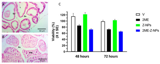 Zeolite Nanoparticles Loaded with 2-Methoxystradiol as a Novel Drug ...