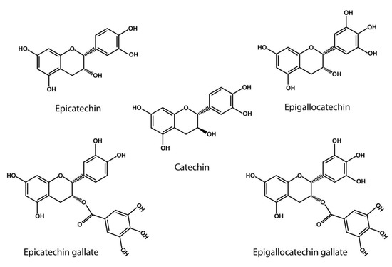 Exploring the Interplay between Polyphenols and Lysyl Oxidase Enzymes ...
