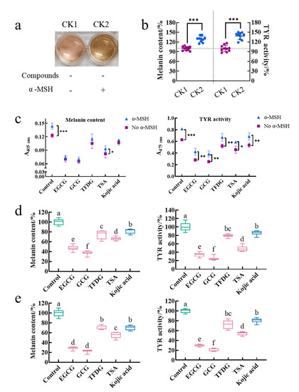 EGCG, GCG, TFDG, or TSA Inhibiting Melanin Synthesis by Downregulating ...