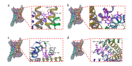 EGCG, GCG, TFDG, or TSA Inhibiting Melanin Synthesis by Downregulating ...