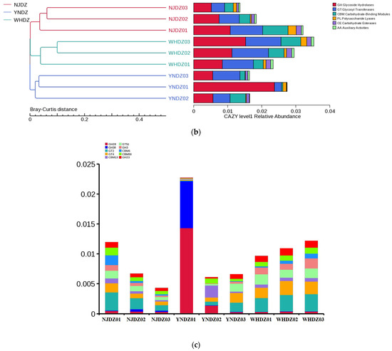 IJMS | Free Full-Text | Metagenomic Insights Reveal the Microbial ...