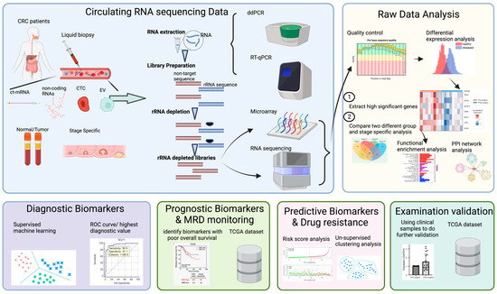 IJMS | Free Full-Text | Exploring the Role of Circulating Cell-Free RNA ...