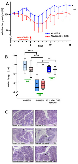 Humanization of the Reaction Specificity of Mouse Alox15b Inversely ...