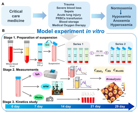 Atomic Force Microscopy and High-Resolution Spectrophotometry for Study ...