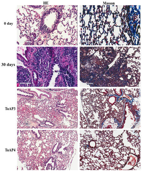 Innovative Pre-Clinical Data Using Peptides to Intervene in the ...
