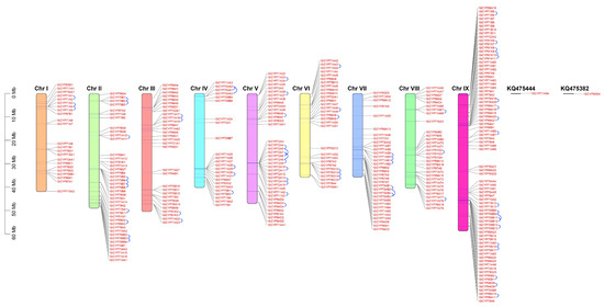 Genome-Wide Identification and Expression Profiling of Cytochrome P450 Monooxygenase Superfamily ...