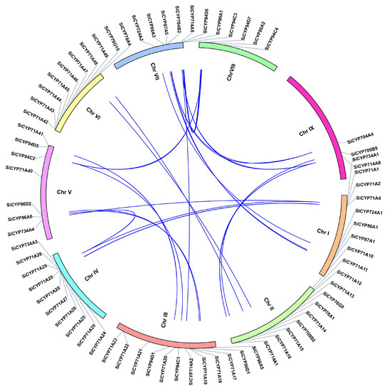 Genome-Wide Identification and Expression Profiling of Cytochrome P450 Monooxygenase Superfamily ...