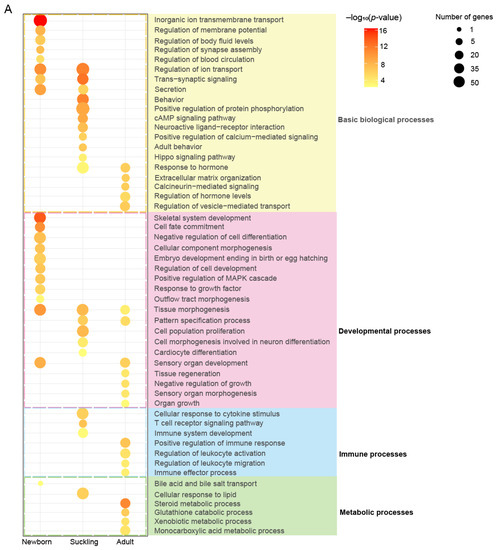 Profiling of Chromatin Accessibility in Pigs across Multiple Tissues ...