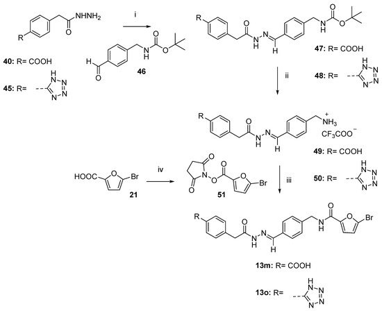 Identification of N-Acyl Hydrazones as New Non-Zinc-Binding MMP-13 ...