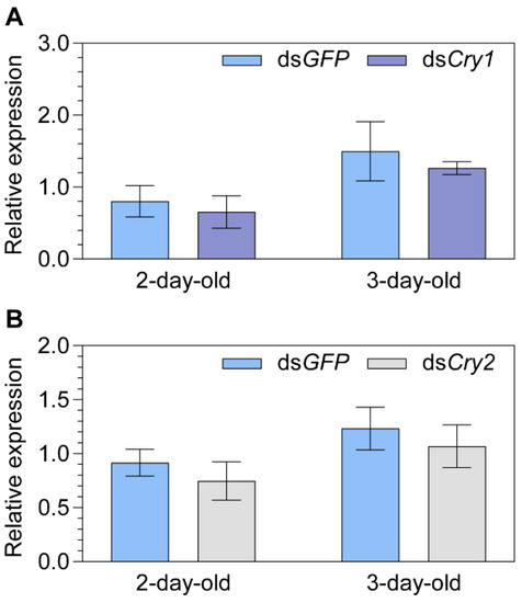 Probing Transcriptional Crosstalk between Cryptochromes and Iron-sulfur ...