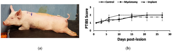 Composite Fibrin/Carbon Microfiber Implants for Bridging Spinal Cord ...