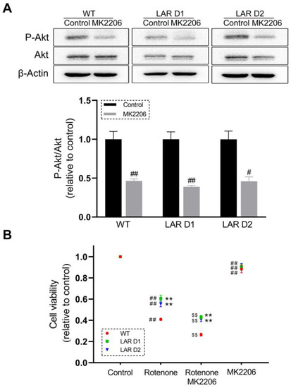 LAR Downregulation Protects the Astrocytic U251 and Cocultured SH-SY5Y ...