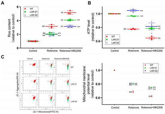 LAR Downregulation Protects the Astrocytic U251 and Cocultured SH-SY5Y ...