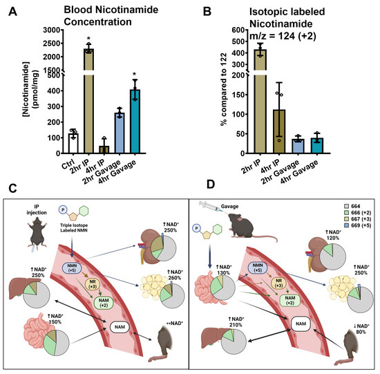 Triple-Isotope Tracing for Pathway Discernment of NMN-Induced NAD+ ...