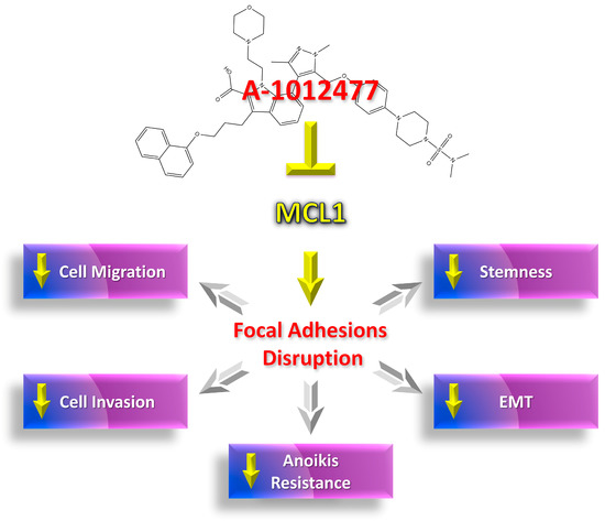 MCL1 Inhibition Overcomes the Aggressiveness Features of Triple ...