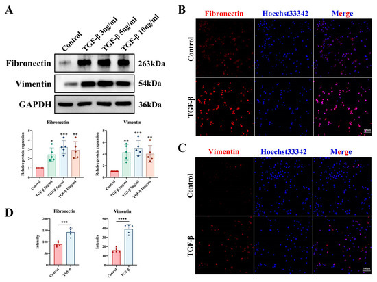 Inhibition of the NF-κB Signaling Pathway Alleviates Pyroptosis in ...