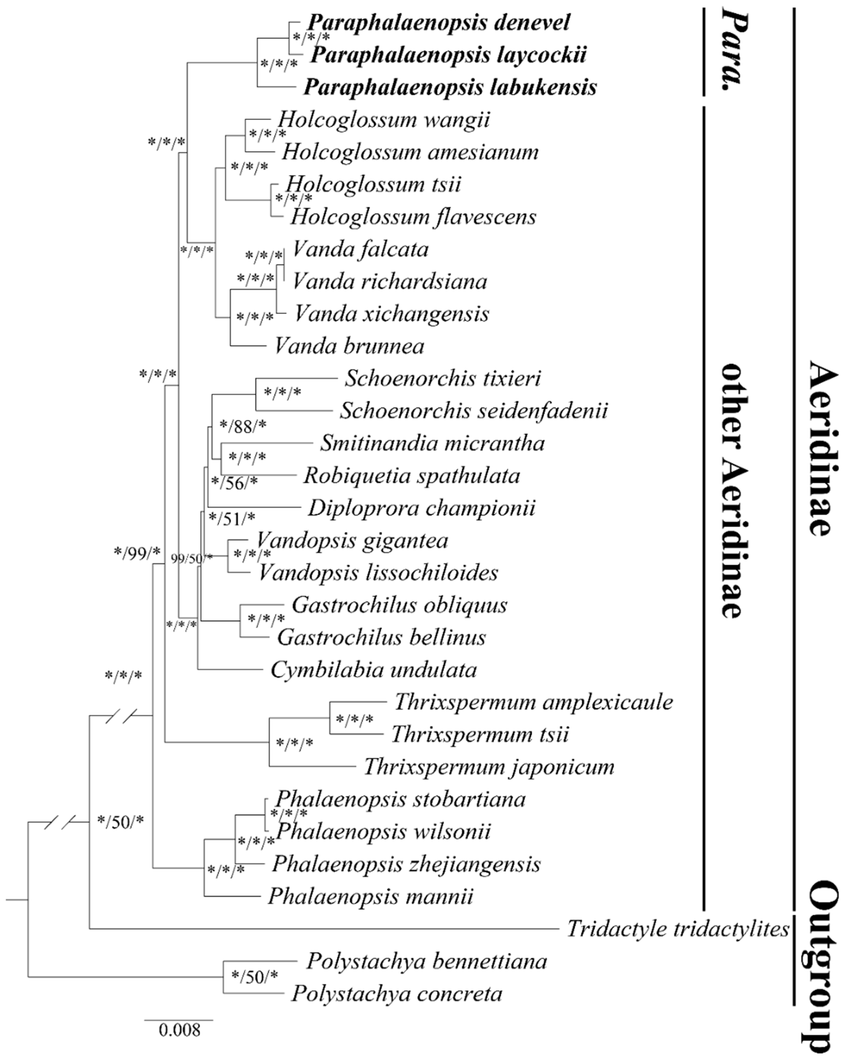 Complete Chloroplast Genomes and Comparative Analyses of Three ...