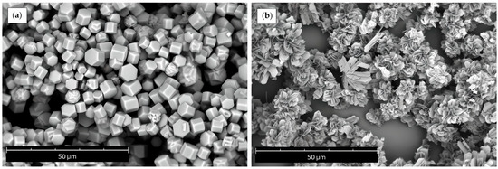 IJMS | Free Full-Text | Dispersant and Protective Roles of Amphiphilic ...