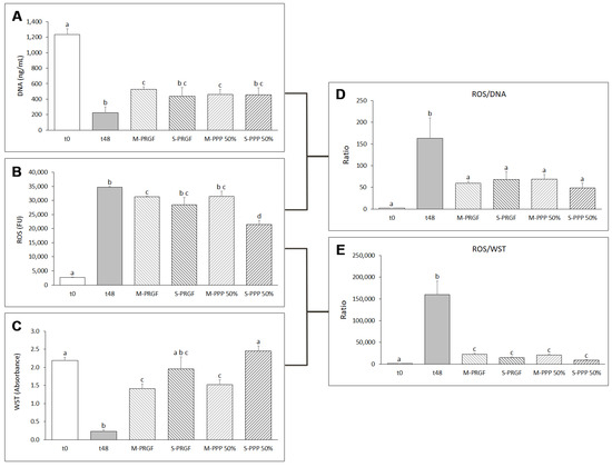 IJMS | Free Full-Text | PRGF Membrane with Tailored Optical Properties ...