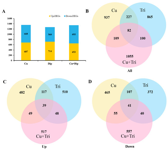 The Combined Use of Copper Sulfate and Trichlorfon Exerts Stronger ...