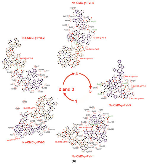 Complexation of Bromelain, Ficin, and Papain with the Graft Copolymer ...
