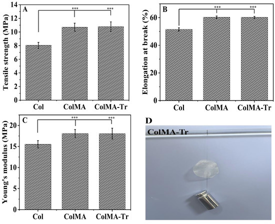 Preparation and Characterization of a Photo-Crosslinked Methacryloyl ...