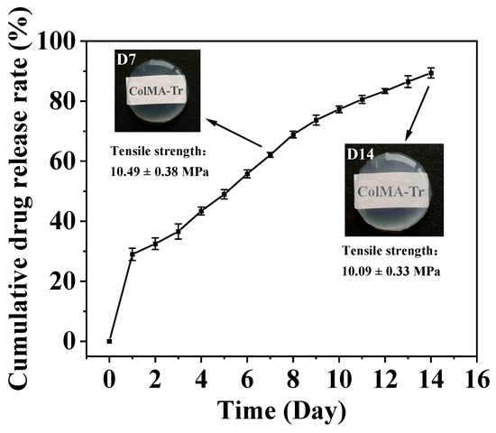 Preparation and Characterization of a Photo-Crosslinked Methacryloyl ...