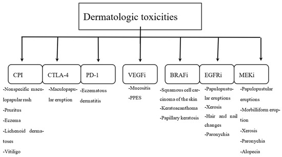 Immune Reactions in Major Types of Oncological Treatment