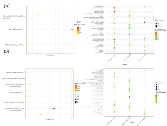 APOA2: New Target for Molecular Hydrogen Therapy in Sepsis-Related Lung ...