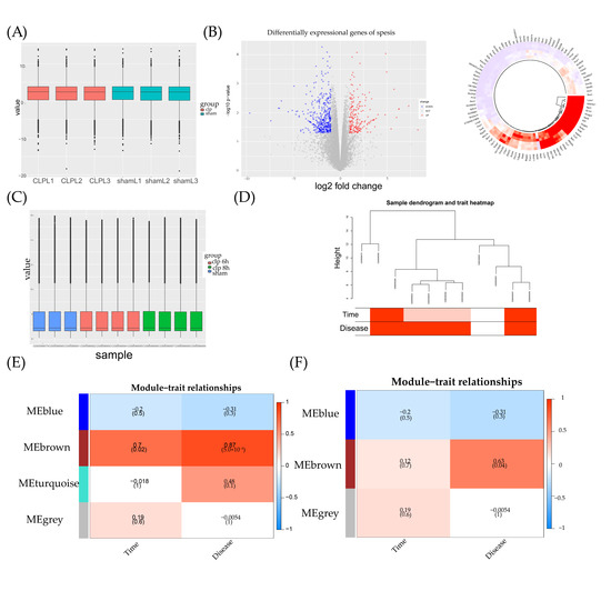 APOA2: New Target for Molecular Hydrogen Therapy in Sepsis-Related Lung ...
