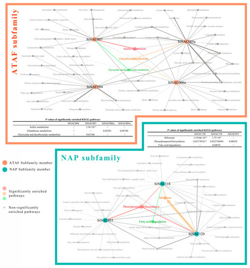 Transcriptome-Wide Identification and Response Pattern Analysis of the ...