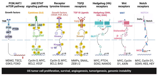 Deciphering the Signaling Mechanisms of Osteosarcoma Tumorigenesis
