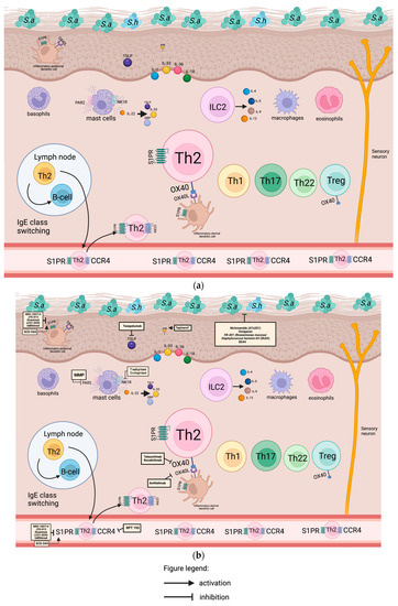 IJMS | Free Full-Text | Challenges and Future Trends in Atopic Dermatitis