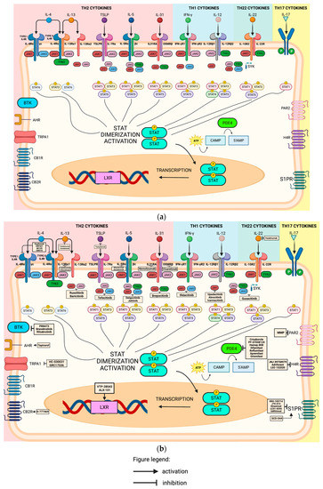 Challenges and Future Trends in Atopic Dermatitis