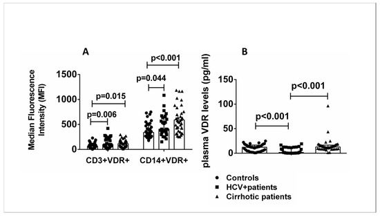 The Influence of Single Nucleotide Polymorphisms on Vitamin D Receptor Protein Levels and ...