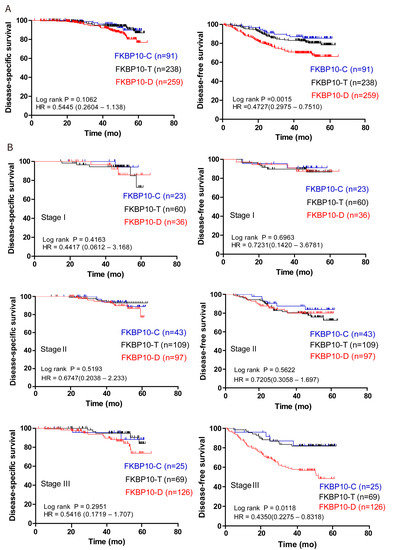 Subcellular Expression Patterns of FKBP Prolyl Isomerase 10 (FKBP10) in ...