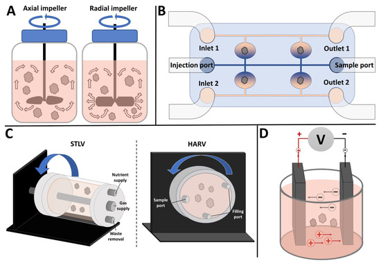 Bioreactor Technologies for Enhanced Organoid Culture