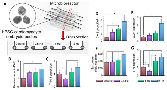 Bioreactor Technologies for Enhanced Organoid Culture