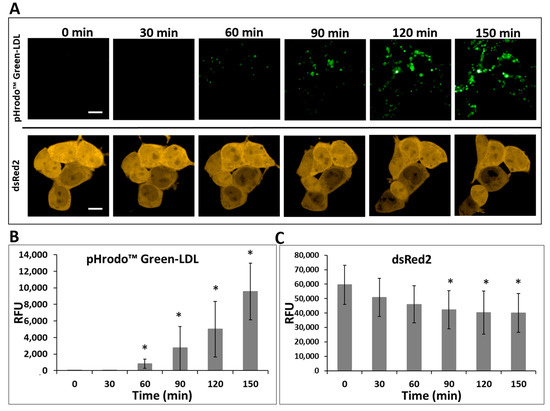 Novel Tools for Comprehensive Functional Analysis of LDLR (Low-Density ...