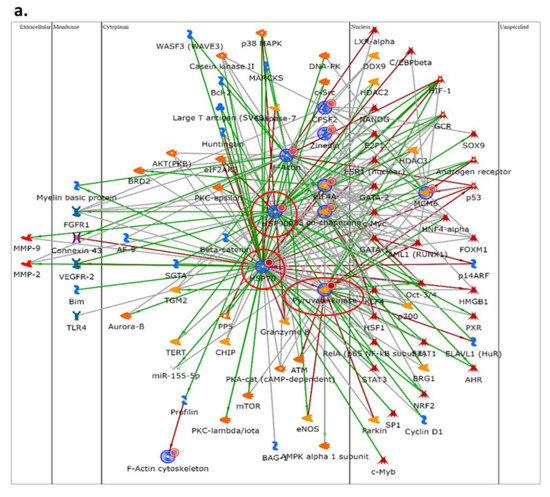Proteomics Reveals How the Tardigrade Damage Suppressor Protein Teaches ...