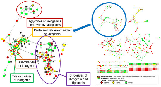 6-Oxofurostane and (iso)Spirostane Types of Saponins in Smilax ...