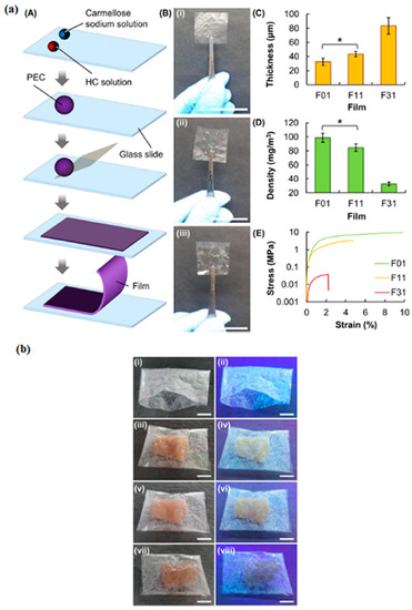 Use of Chitosan-Based Polyelectrolyte Complexes for Its Potential ...
